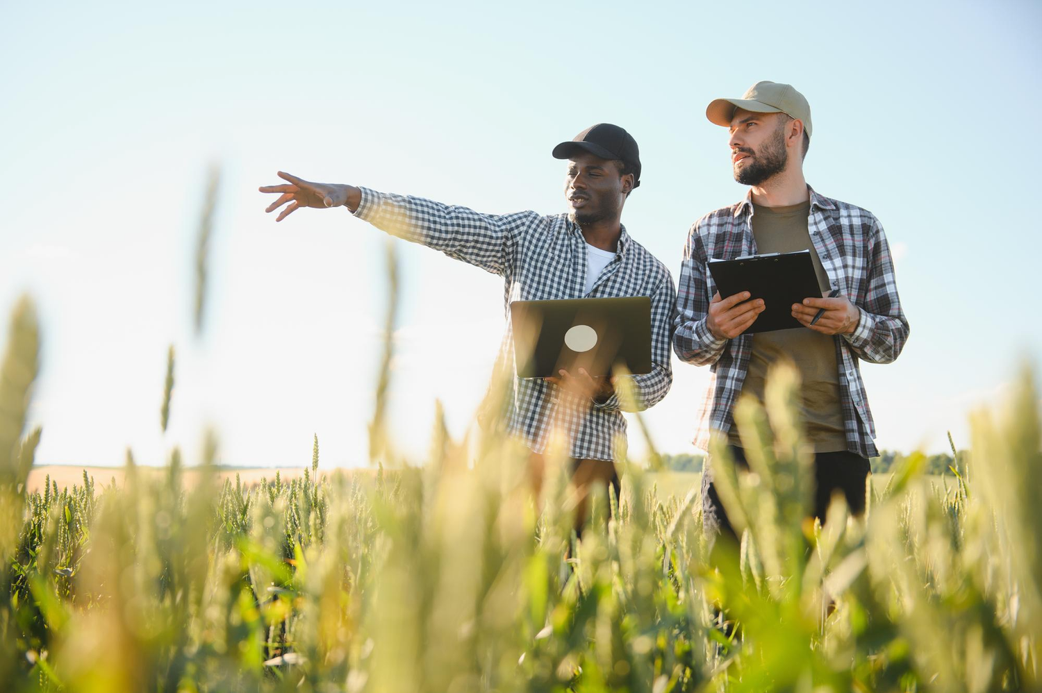 Anti-Seep Collars for Drainage Pipes – Agri Drain